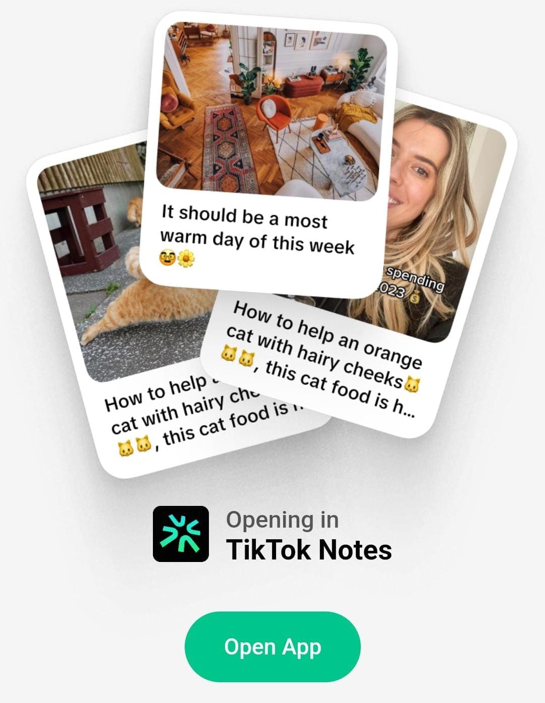 Baru Diluncurkan Inilah 4 Kelebihan Tiktok Notes Saingan Baru