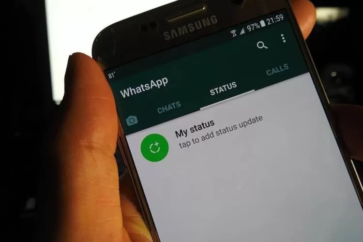 Baru! Fitur Musik Di Status WA Begini Cara Pakainya 2026